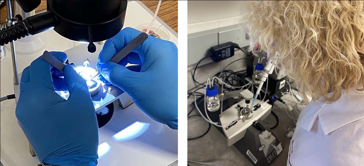 Equipment | Vascular and Metabolic Phenotyping Research Lab ...